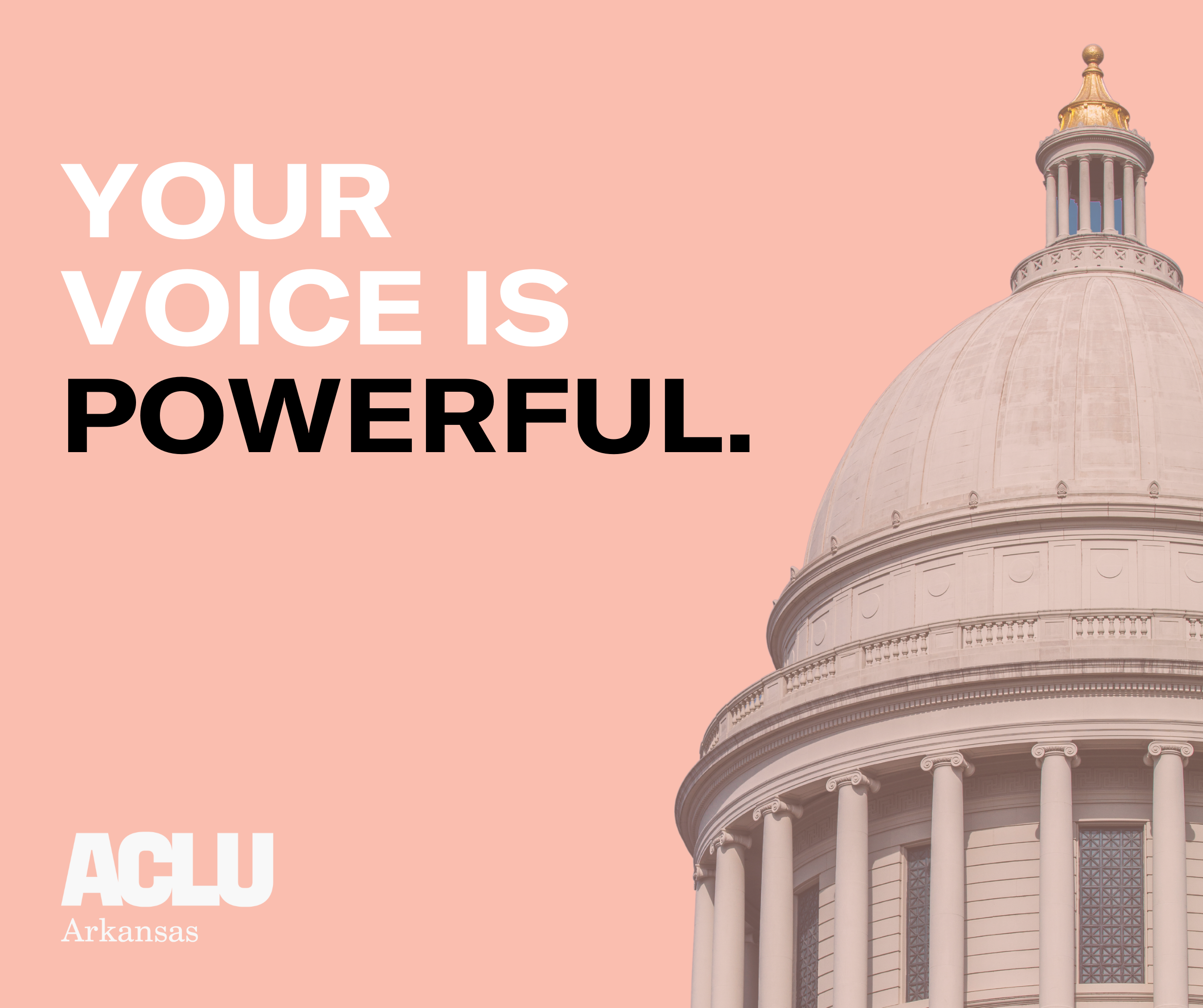 Recapping Arkansas' 2023 Legislative Session: Victories, Injustices, and the Fight for Our ...